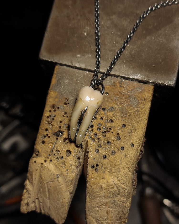 Teeth – Grave Metallum Jewellery